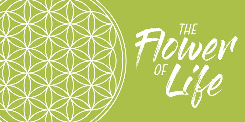 Meaning and Significance of the Flower of Life in Sacred Geometry ...