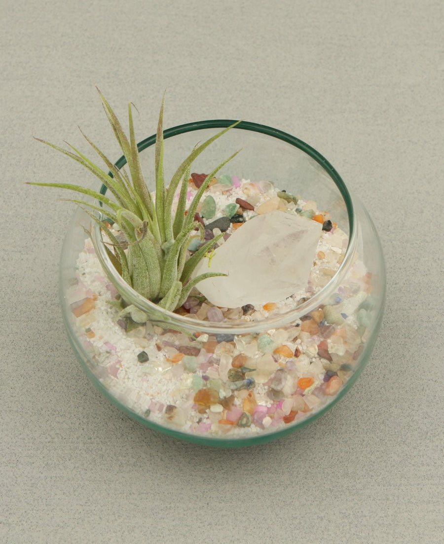 Multicolor Rainbow Gemstone Terrarium with Healing Quartz – Buddha Groove