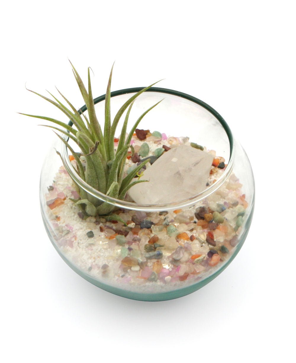 Multicolor Rainbow Gemstone Terrarium with Healing Quartz – Buddha Groove